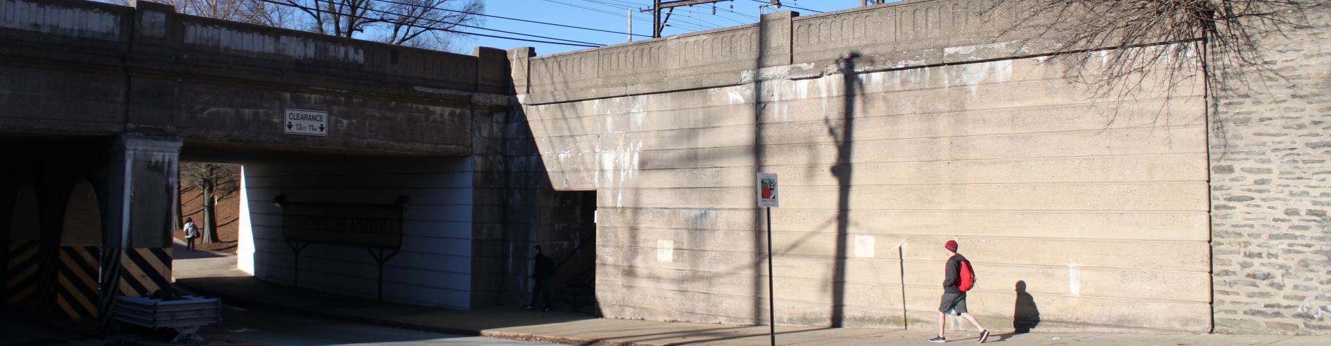 Renowned Mural Painter David Guinn and Student Apprentices Transform ...