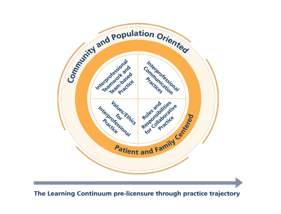 Interprofessional Education | Arcadia University
